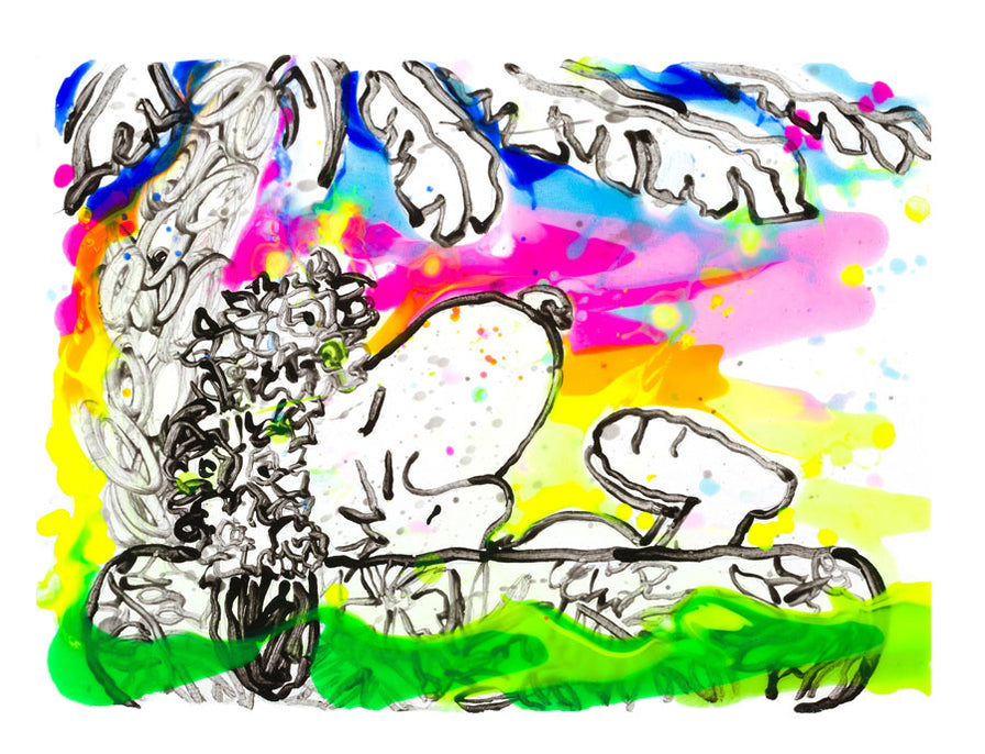 Tom Everhart | Painter | Peanuts Art | Peabody Gallery